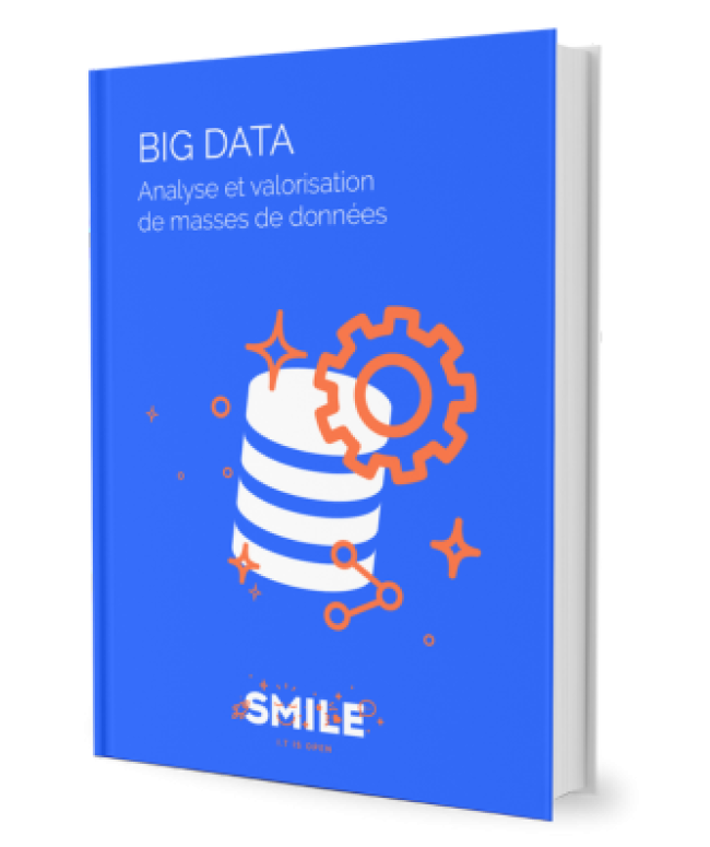 Big Data: Overview of use cases and Open Source solutions | Smile